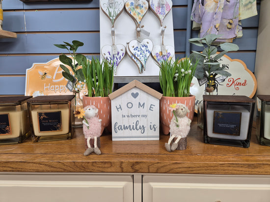 Gift Shop – Dalscone Farm