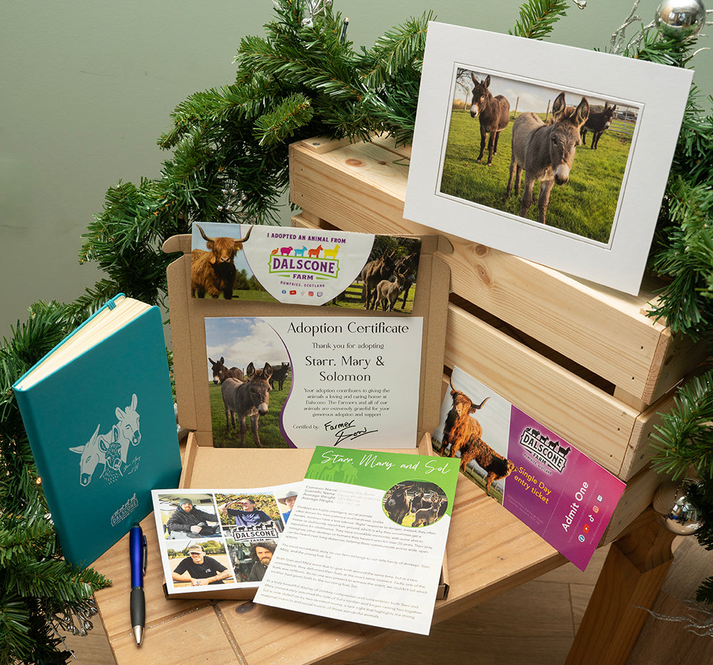 Adopt an Animal – Dalscone Farm