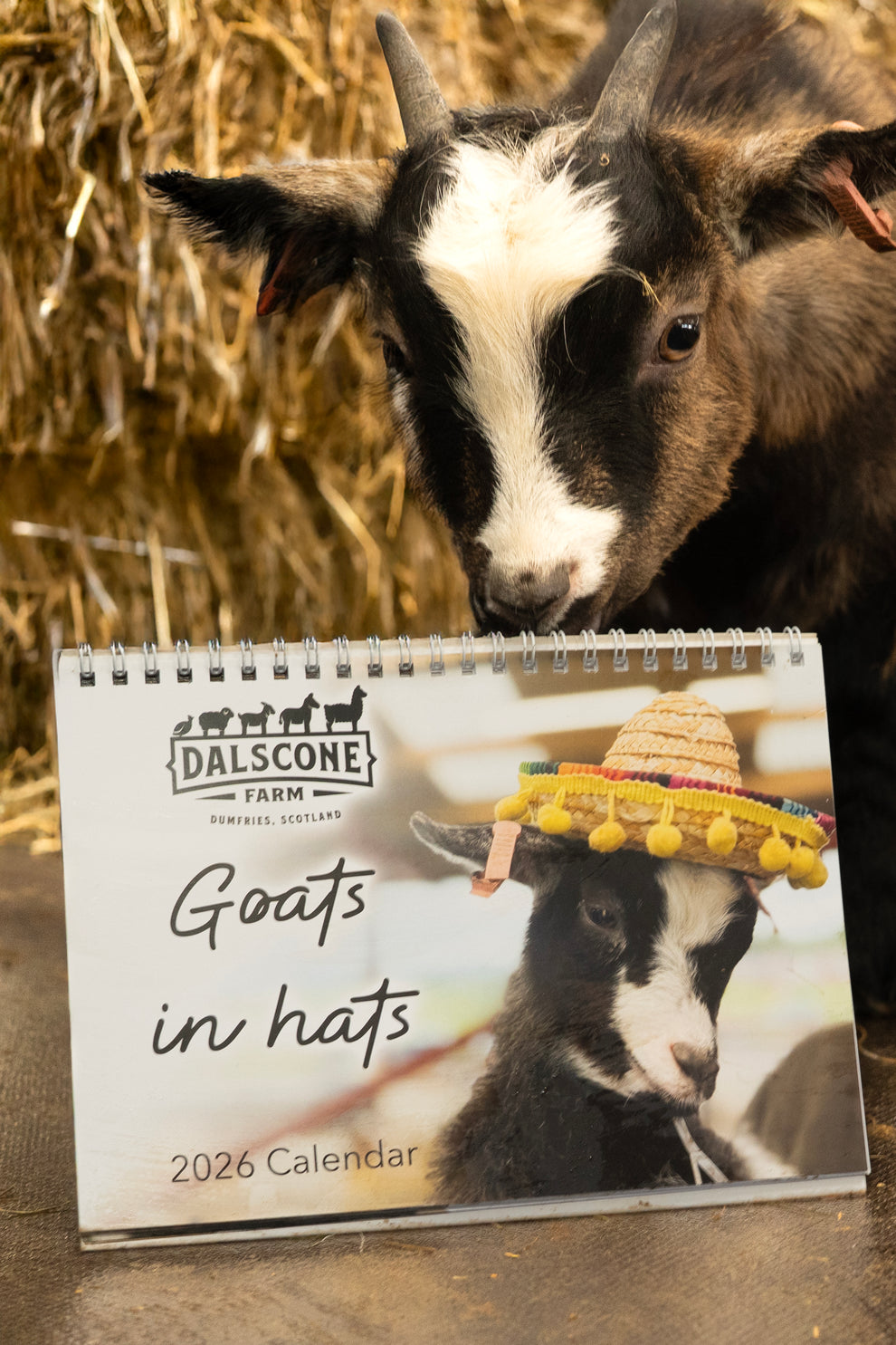 Dalscone 'Goats in Hats' Desk Top Calendar – Dalscone Farm